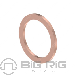 Sealing Ring, M20 N000000001072 - OEM - Detroit Diesel - Big Rig World