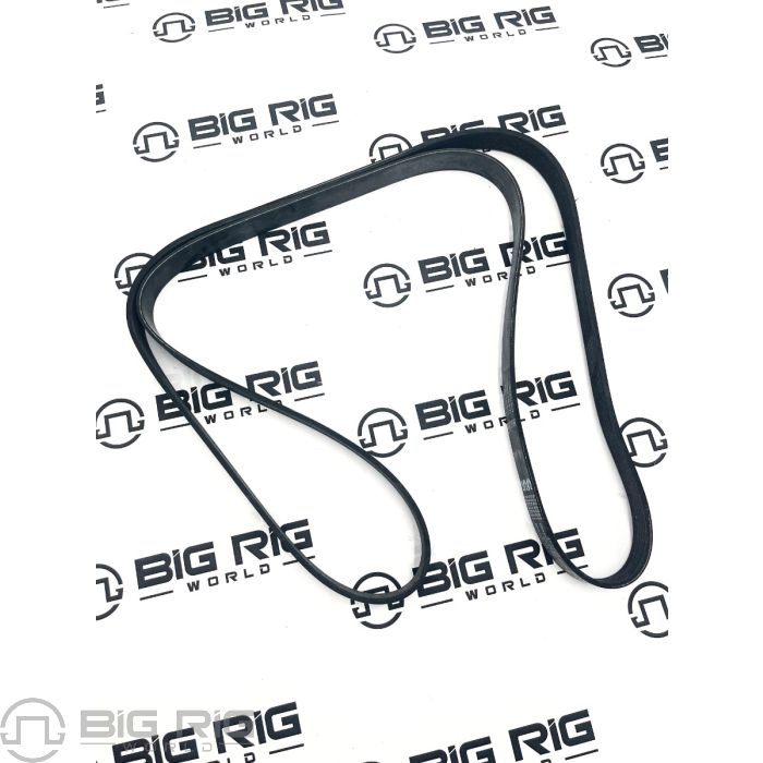 V Ribbed Belt 5264021 - OEM - Cummins - Big Rig World