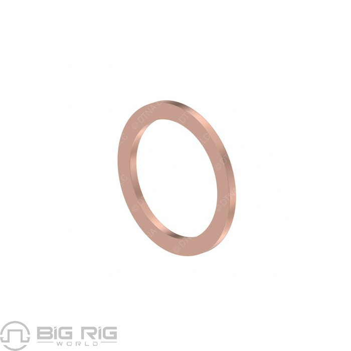 Sealing Ring, M20 N000000001072 - OEM - Detroit Diesel - Big Rig World