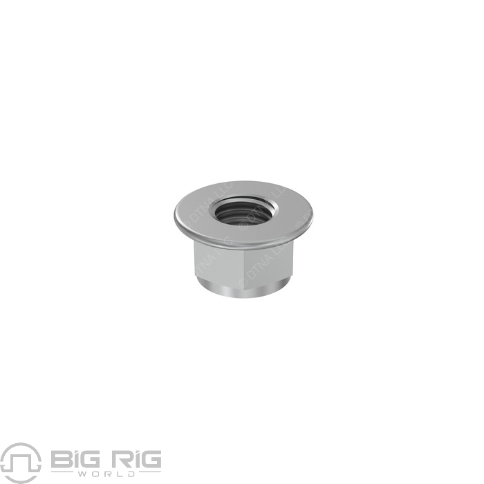 Nut N000000005662 - Detroit Diesel - Big Rig World